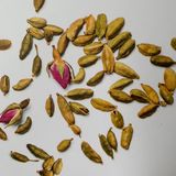 Initio Perfumes - Unveiling a Mystical World of Alluring Fragrances ...