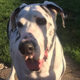 Retrograde Max Nail Polish - ORLY